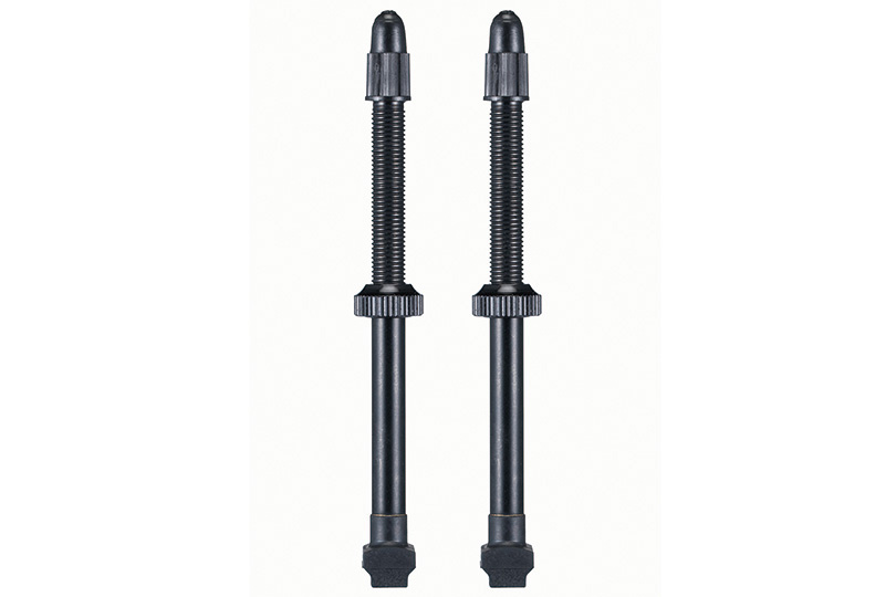2021 GIANT Bicycles | TUBELESS VALVE (2PC) | Gear Image